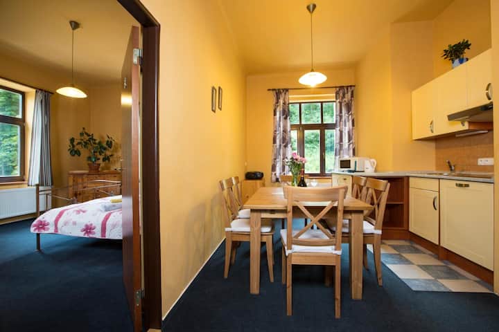 Large 6 Person Apartment Salamon - Rokytnice nad Jizerou