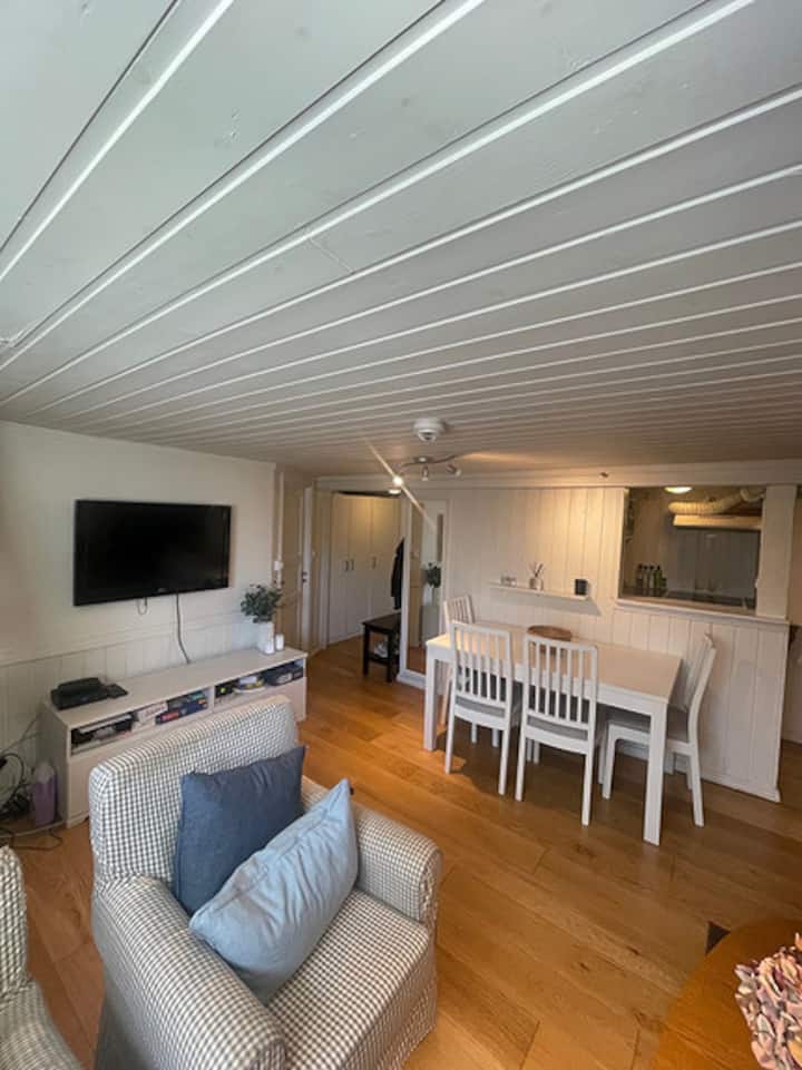 Kjellerleilighet Sentralt I Kristiansand - Kristiansand