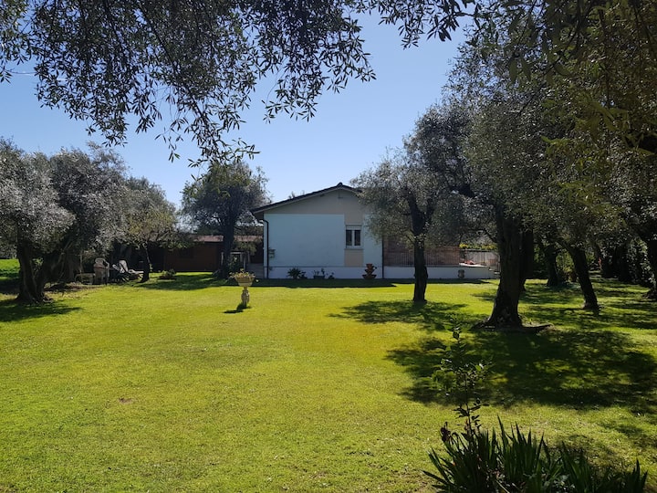 Villa Giovannella Relax - Marina di Massa