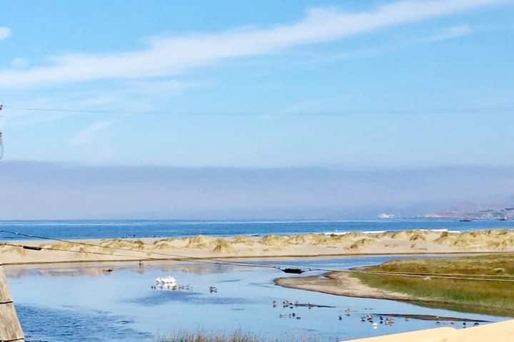 Fishermanscottage~cute Beach Cottage/walk To Beach - Bodega Bay, CA