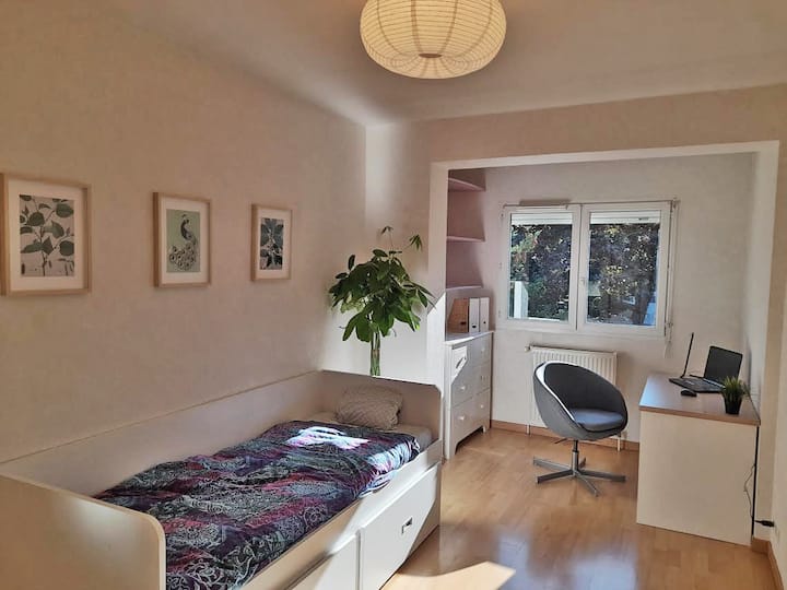Chambre +
Salle De Bain, Wc
Et Salon Privatifs. - Toulouse