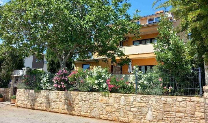 Jero1 - Croatia