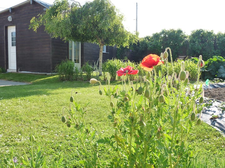 Studio à 2 Km De La Plage Fécamp - Saint-Léonard