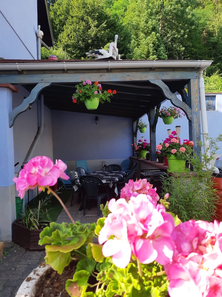 Maison - Au Nid De La Foret - Obernai