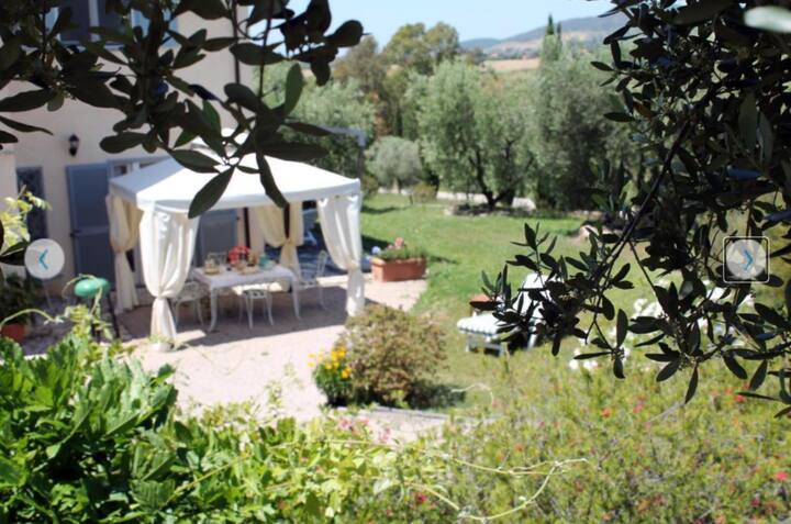 Casale Cacciata Grande Asia - Montalto di Castro