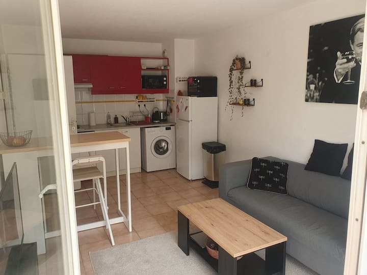 Appartement Rive Du Lez/antigone - Montpellier