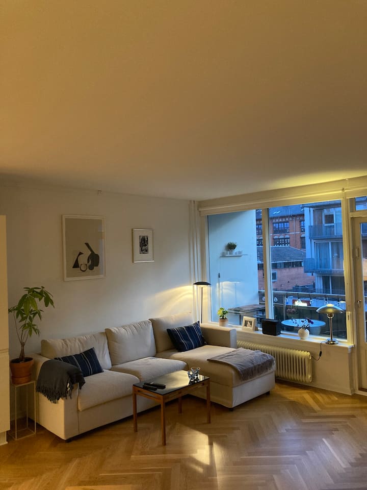 Beautiful And Cozy Flat In Copenhagen V - Copenaghen