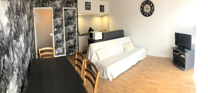 Studio Bisca Plage 2/4 Personnes :1 Lit+1 Clicclac - Biscarrosse