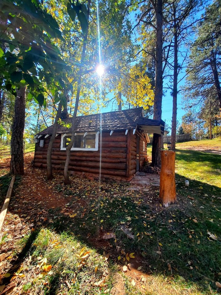 Louise's Cozy Cabin - Rapid City, SD