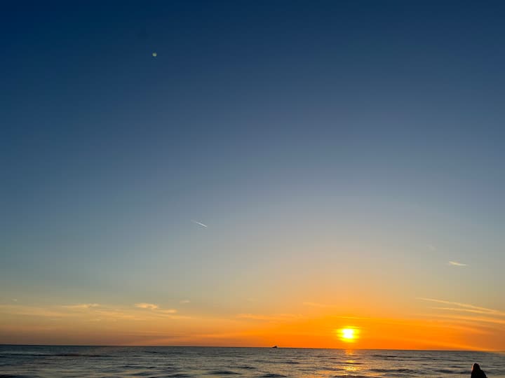 Condo 5 Min  To The Beach - Naples, FL