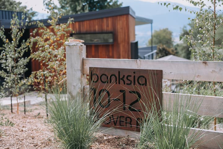Banksia - Bright