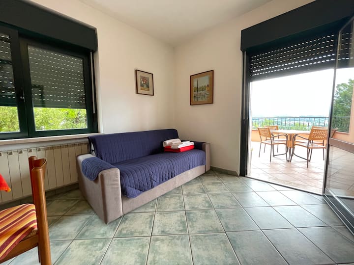 Lake View Terrace Apartment 4 Pers. - Manerba del Garda