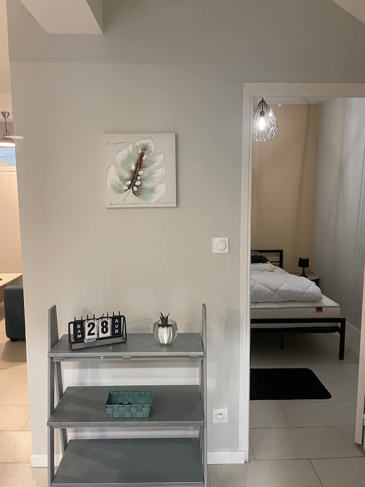 Appartement Spacieux Avec Une Chambre. - Angoulême