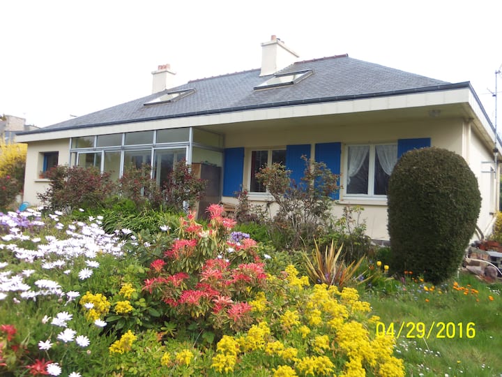 L'agapanthe
' - Paimpol
