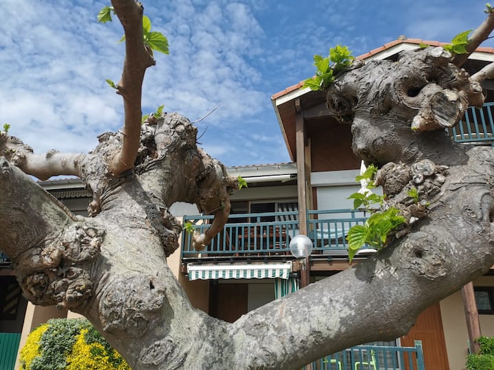 Appartement Aquitania Santocha - Capbreton