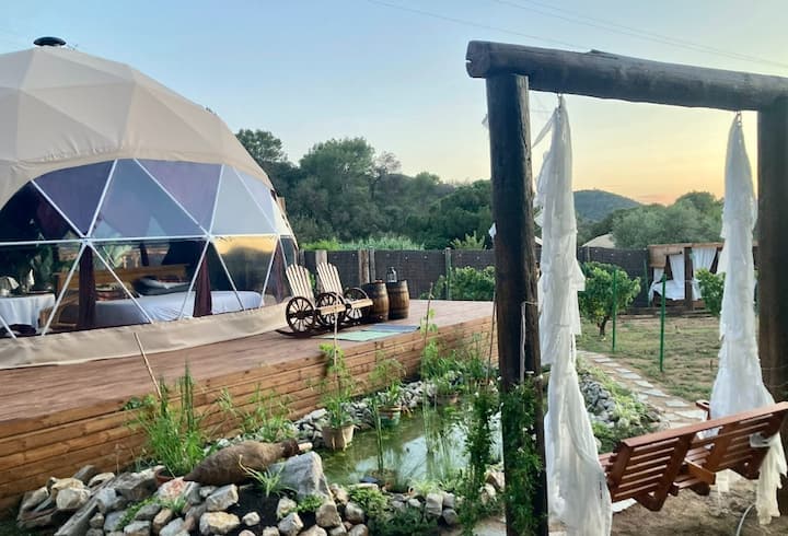 Domo Baco: Wine Culture In A 5-star Accommodation. - Montmeló