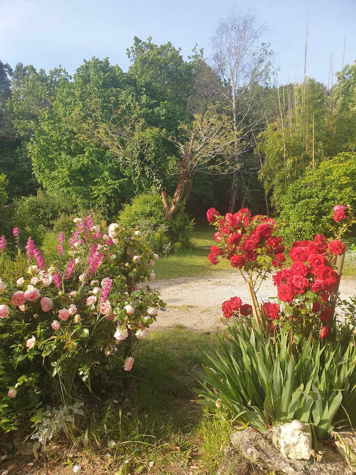 Chez Yannick, Grand Jardin Au Calme - Île d'Oléron