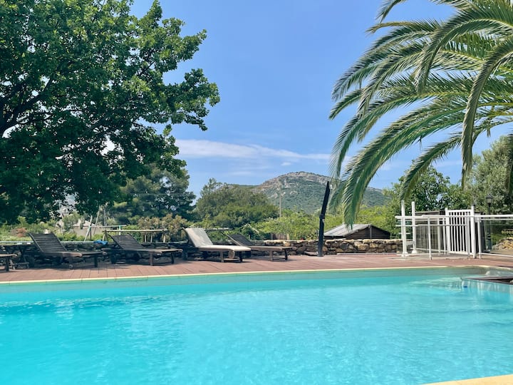 Villa T3 Patrimonio - Corse - Saint-Florent