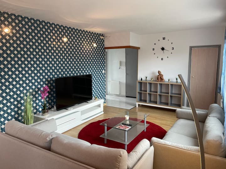 Appartement Entier Spacieux - Albi