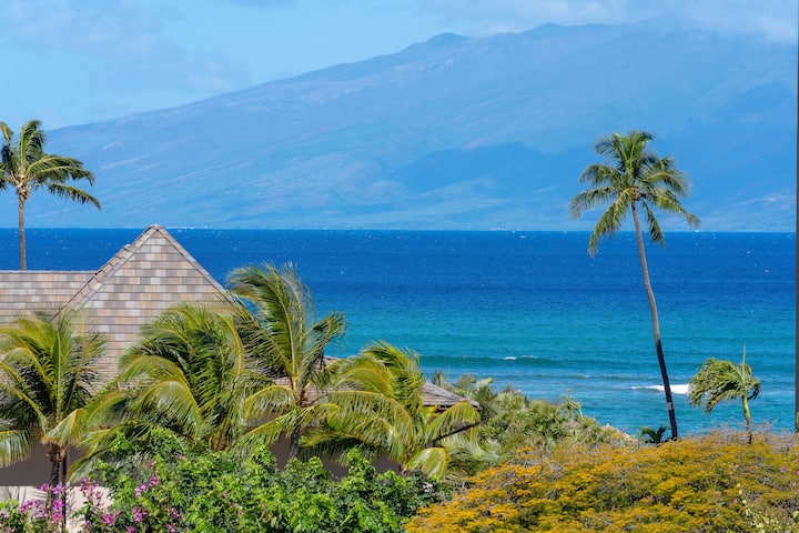 Kahana Manor 8br/8ba-305,306,420,202 - Maui