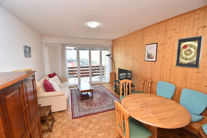 Apartment In Center Of Leysin! - Leysin