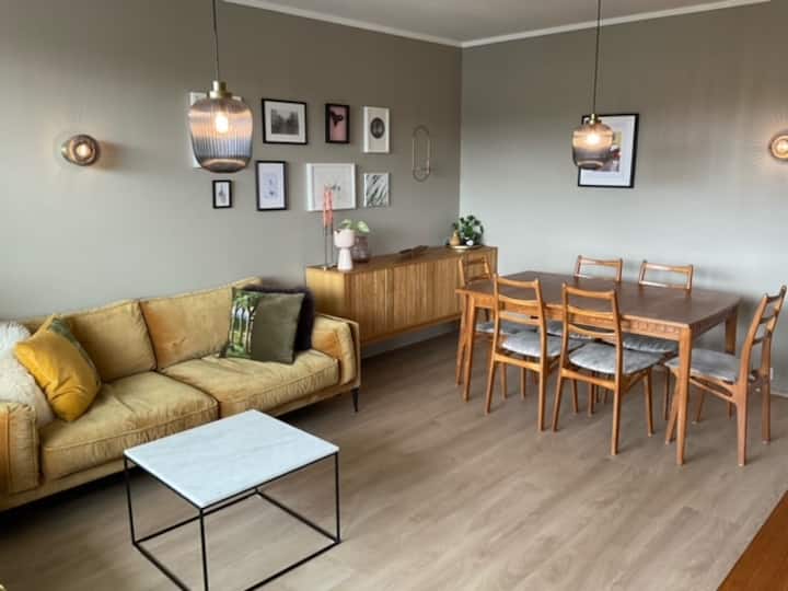 Bright Apartment In Reykjavik - Greenland