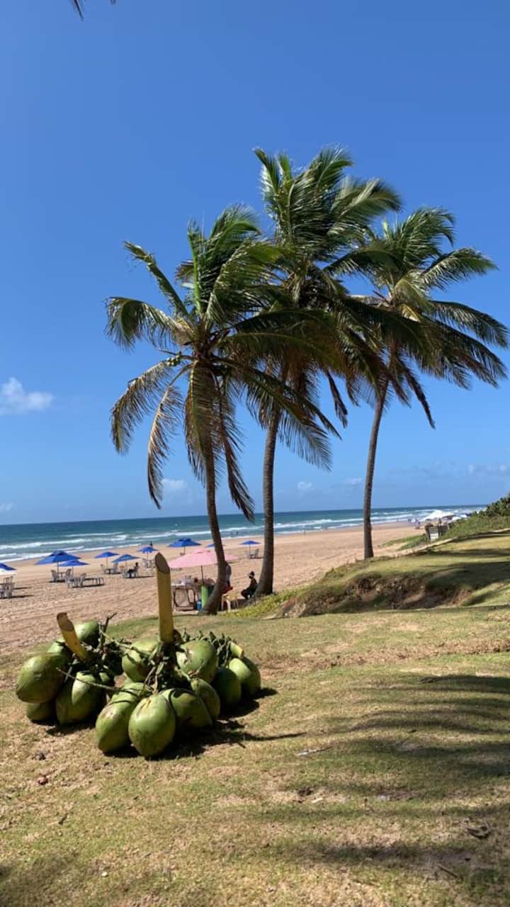 Imóvel Pé Na Areia   3 Suítes Praia Do Flamengo - Lauro de Freitas