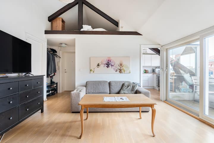 Guest Room In Penthouse Apartment - Oslo