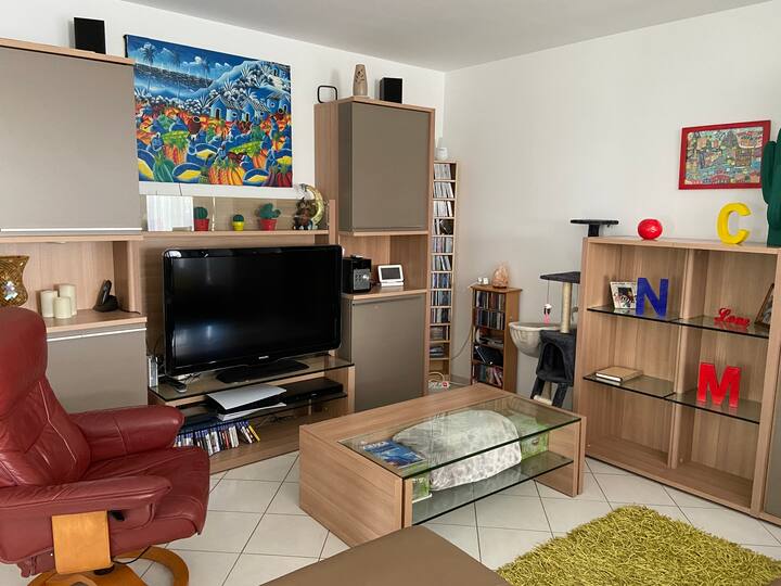 Villa Moderne Dans Joli Village - Graulhet