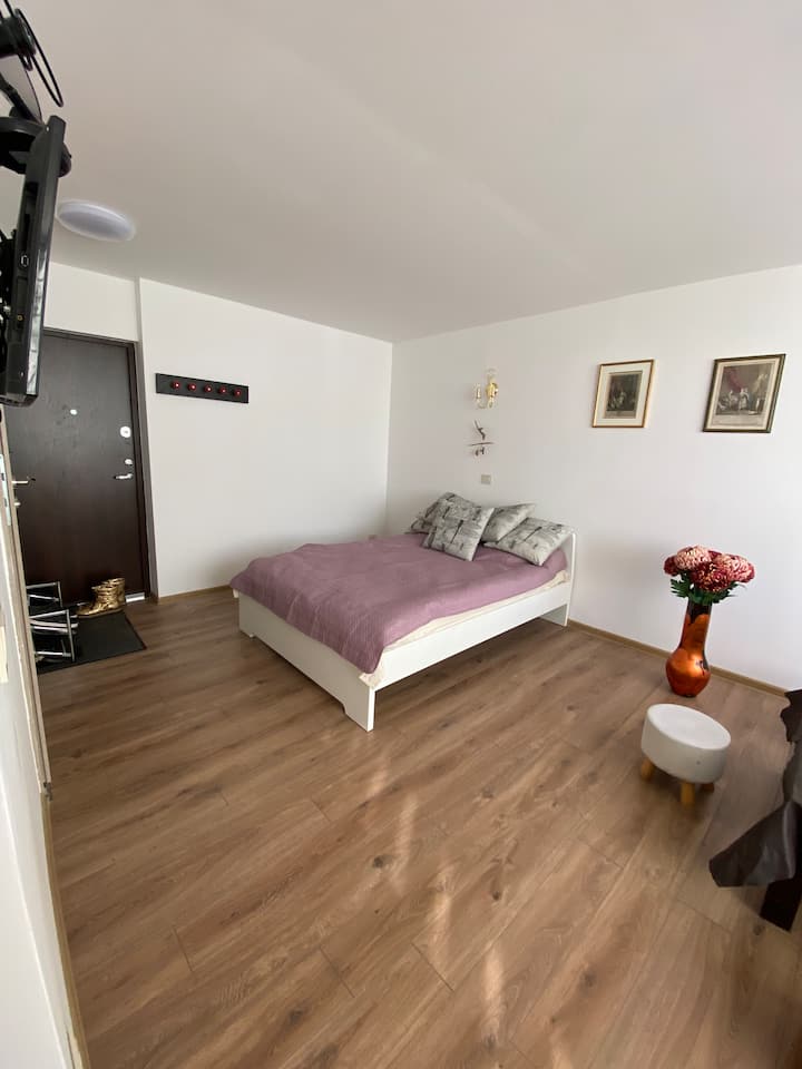 Nice Place To Stay Close To City - Kaunas
