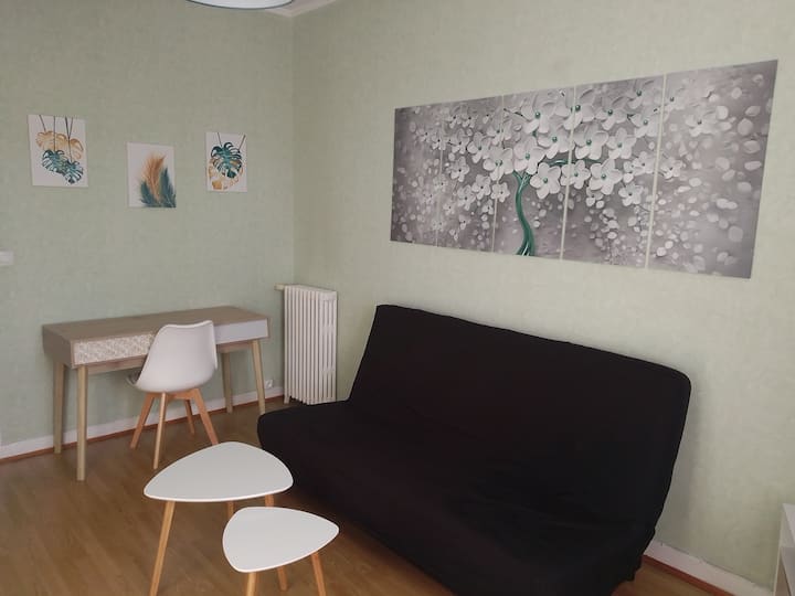 Charmant Appartement En Centre-ville. - Ussel