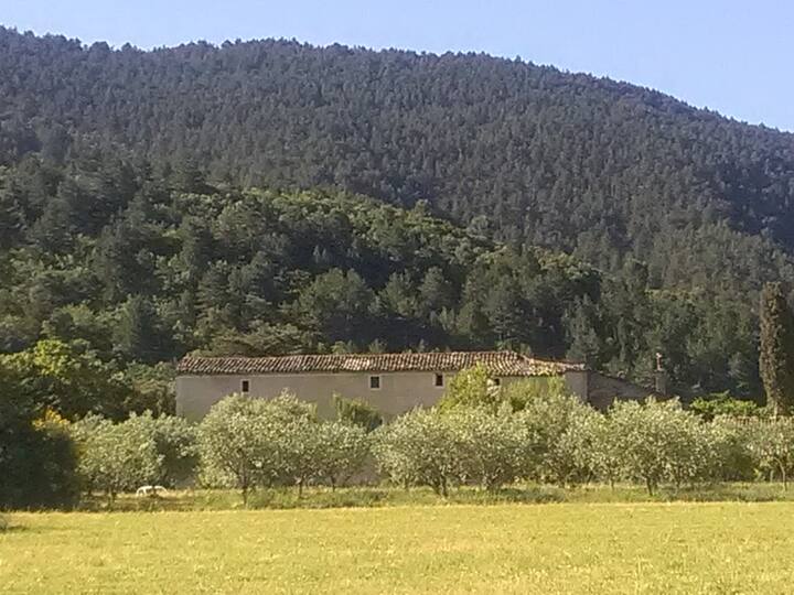 Bienvenue à La Ferme Du Désert  Ventoux / Provence - Vaucluse