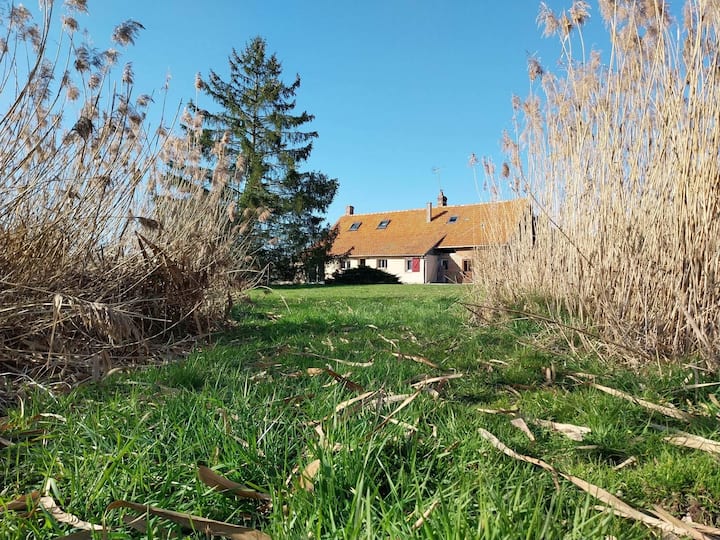 Maison De Campagne, En Sologne - Lamotte-Beuvron