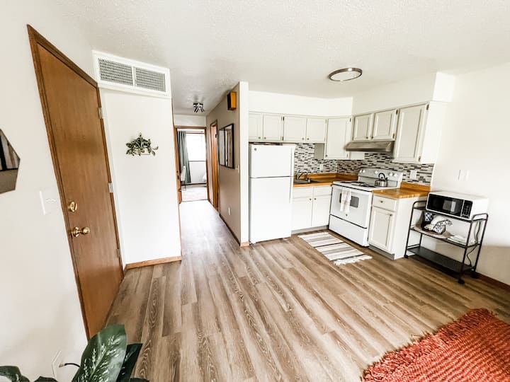 Modern 1br Condo, Convenient Location - Iowa City, IA