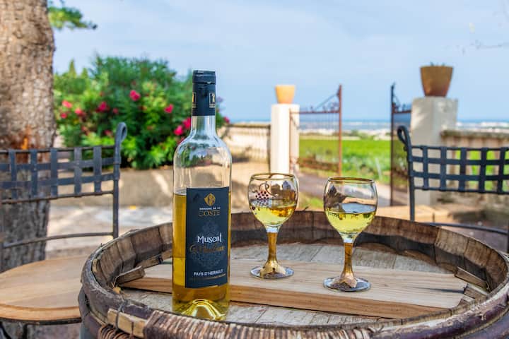 Domaine De La Coste - Frontignan