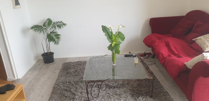 Appartement 10 Mn A Pied Du Tram - Le Mans