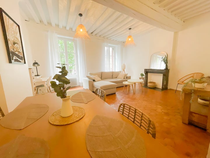 Douceur De Vignes - Climatisé - Hypercentre - Chalon-sur-Saône