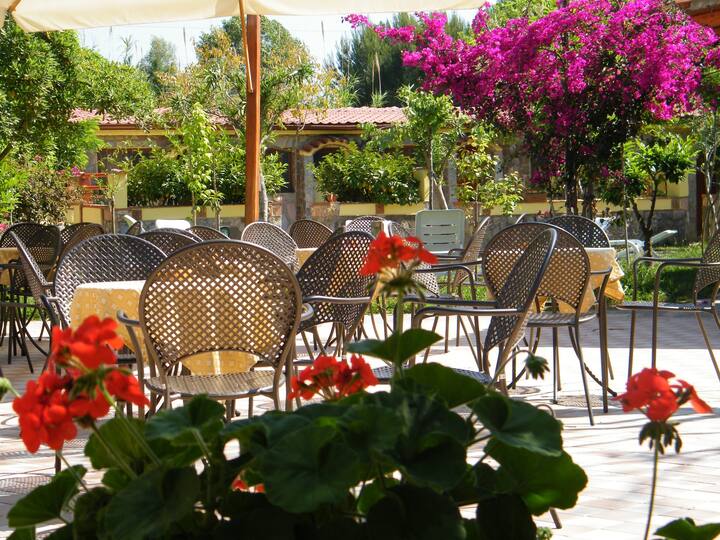 B&b Monolocale Con Patio Colazione Inclusa - Palinuro