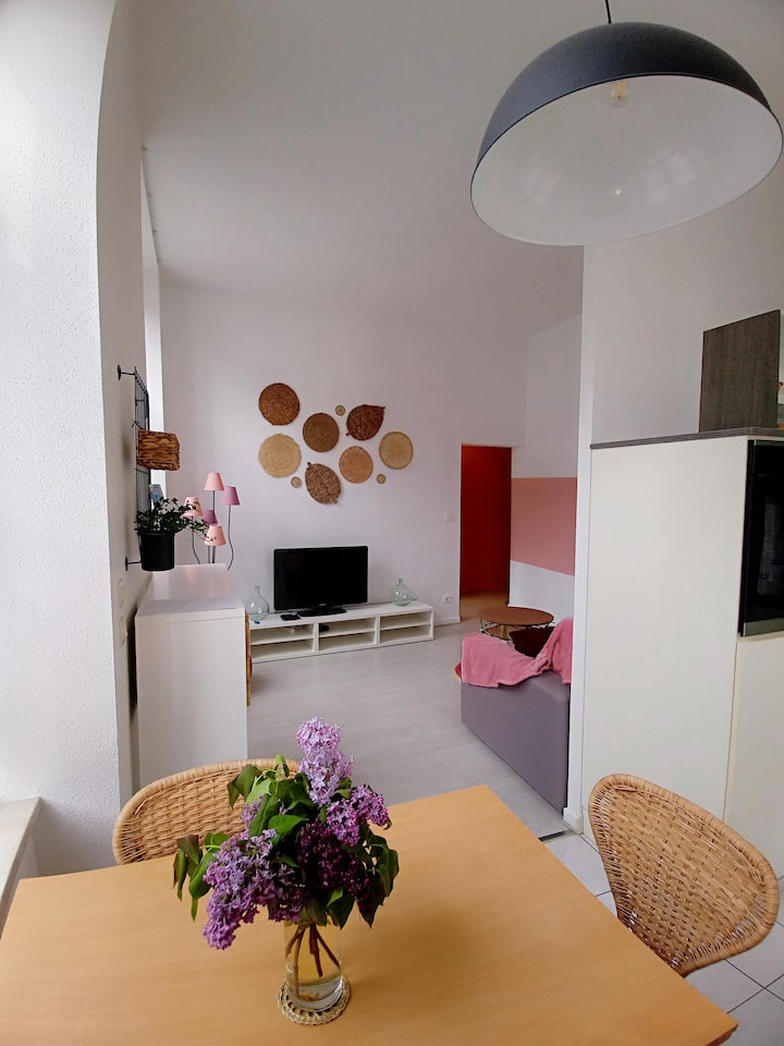 Appartement Cosy Colmar Centre - Alsace