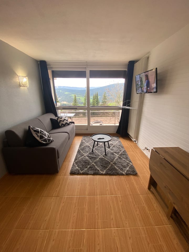 Appartement Villard-de-lans - Lans-en-Vercors
