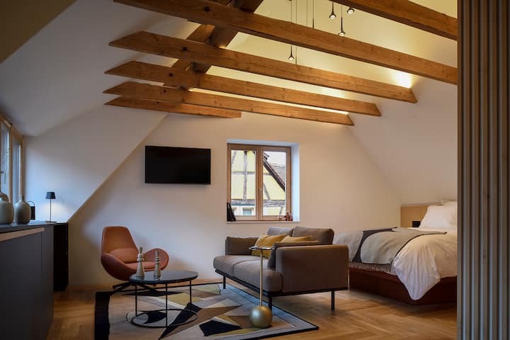 Rive-petite-venise Appart Luxe - Clim. Ascenseur - Colmar