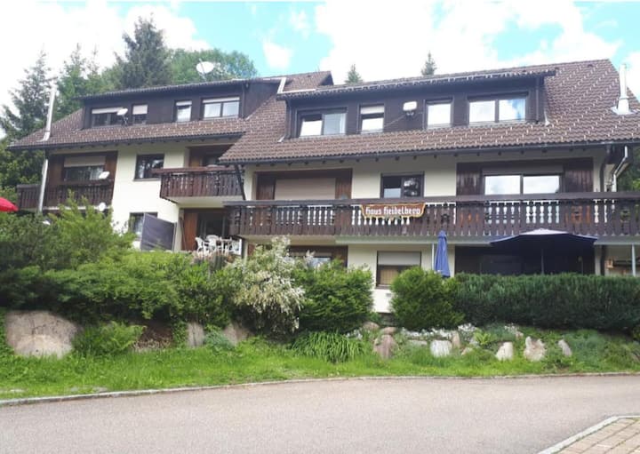 Fewos - Titisee-Neustadt
