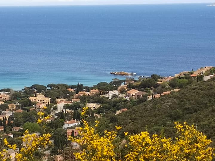 Vue Montagne Et Mer à 400m De Saint Clair - Le Lavandou
