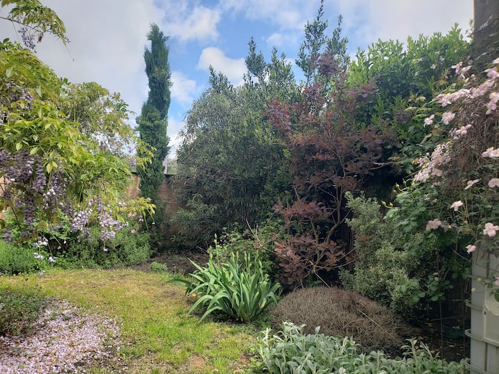 Charmante Maison Avec Jardin - Albi