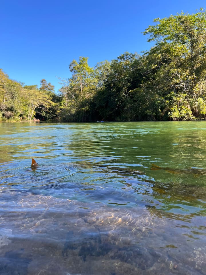 Loft Dourado Condomínio Parque Das ÁGuas - Bonito
