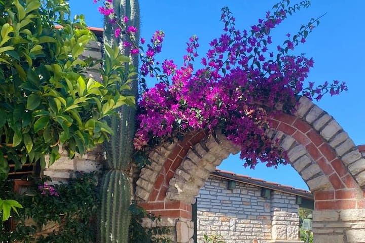 Bouganvillea Pool & Sea - Bisceglie
