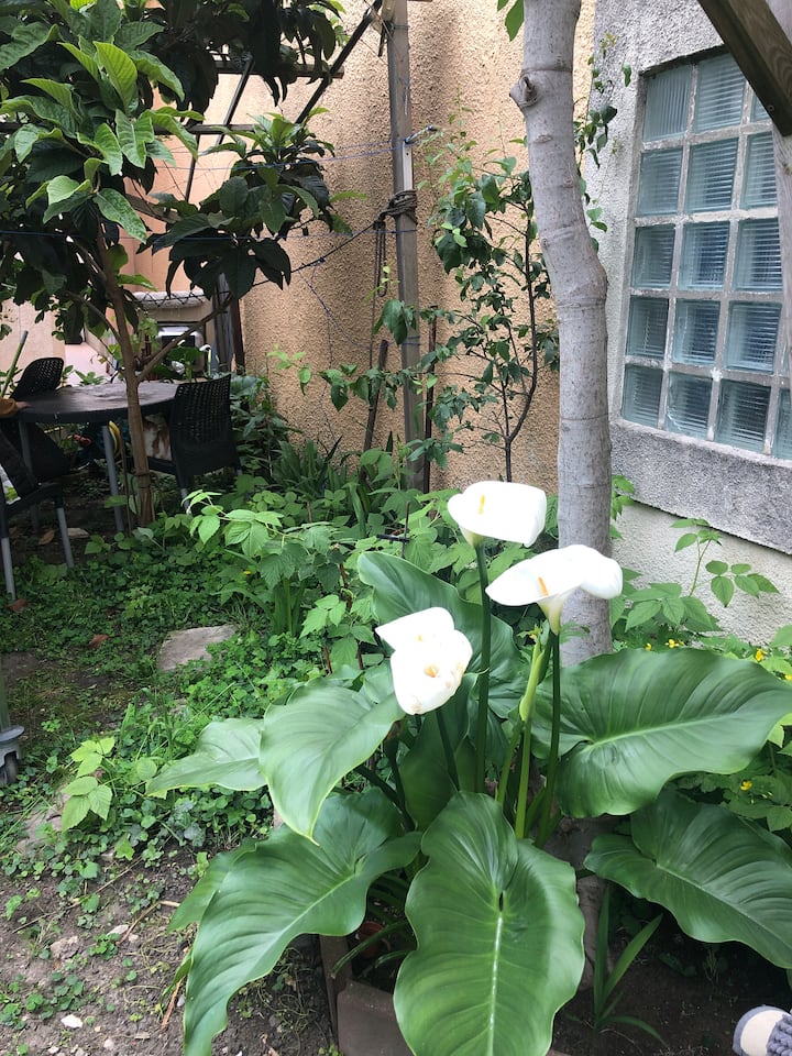 Studio Indépendant - Saint-Denis, France