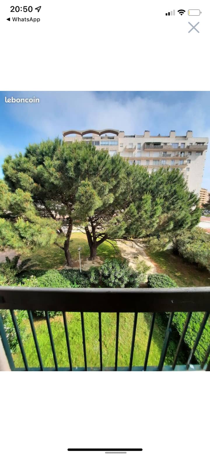 Joli Appartement En Bord De Mer - Canet-en-Roussillon