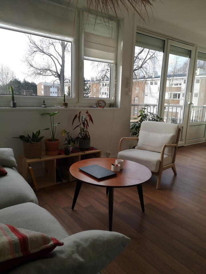 Appartement Au Calme - Lambersart