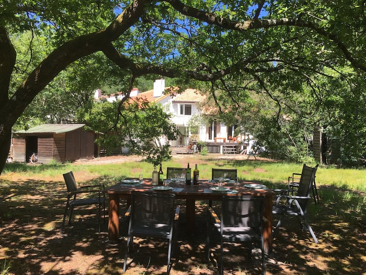 Maison Lacanau Lac - Lacanau